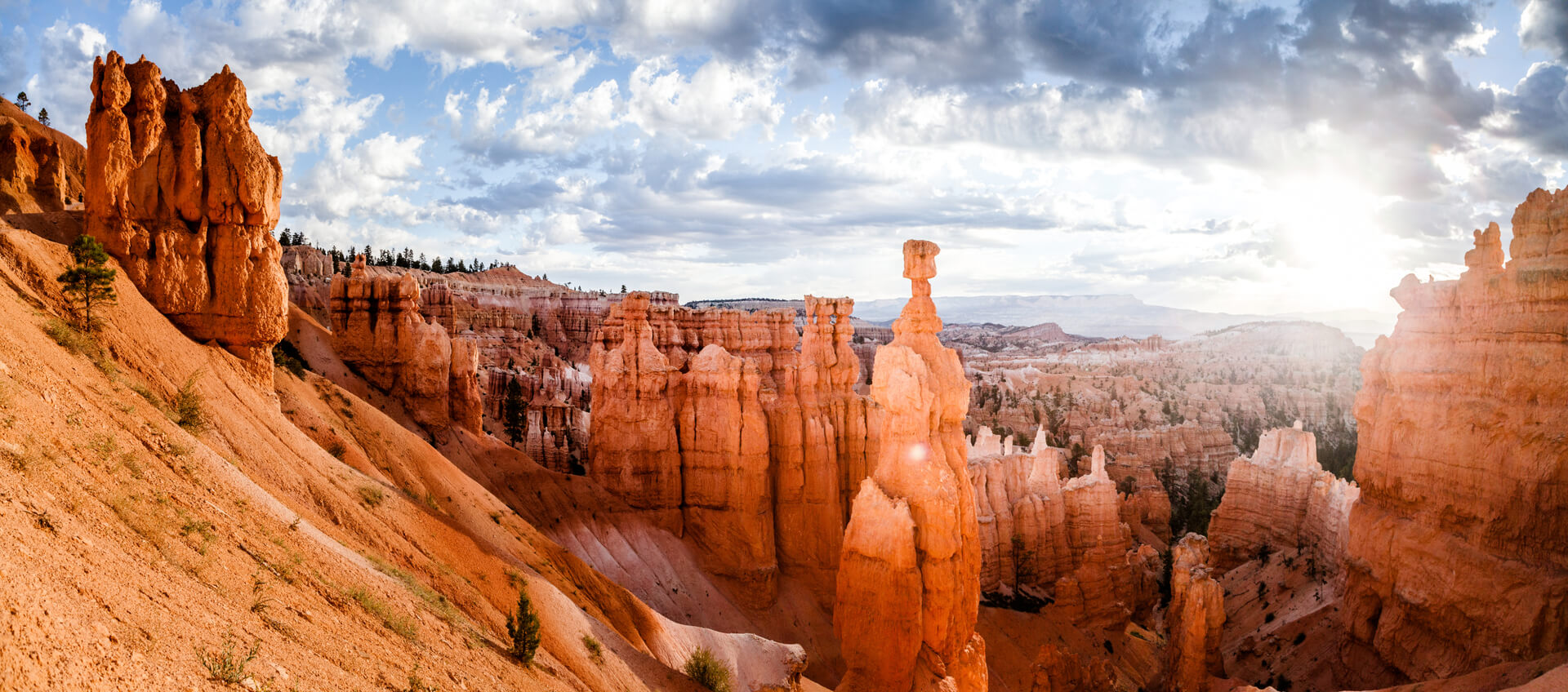 USA - Haxel Incentive Travel